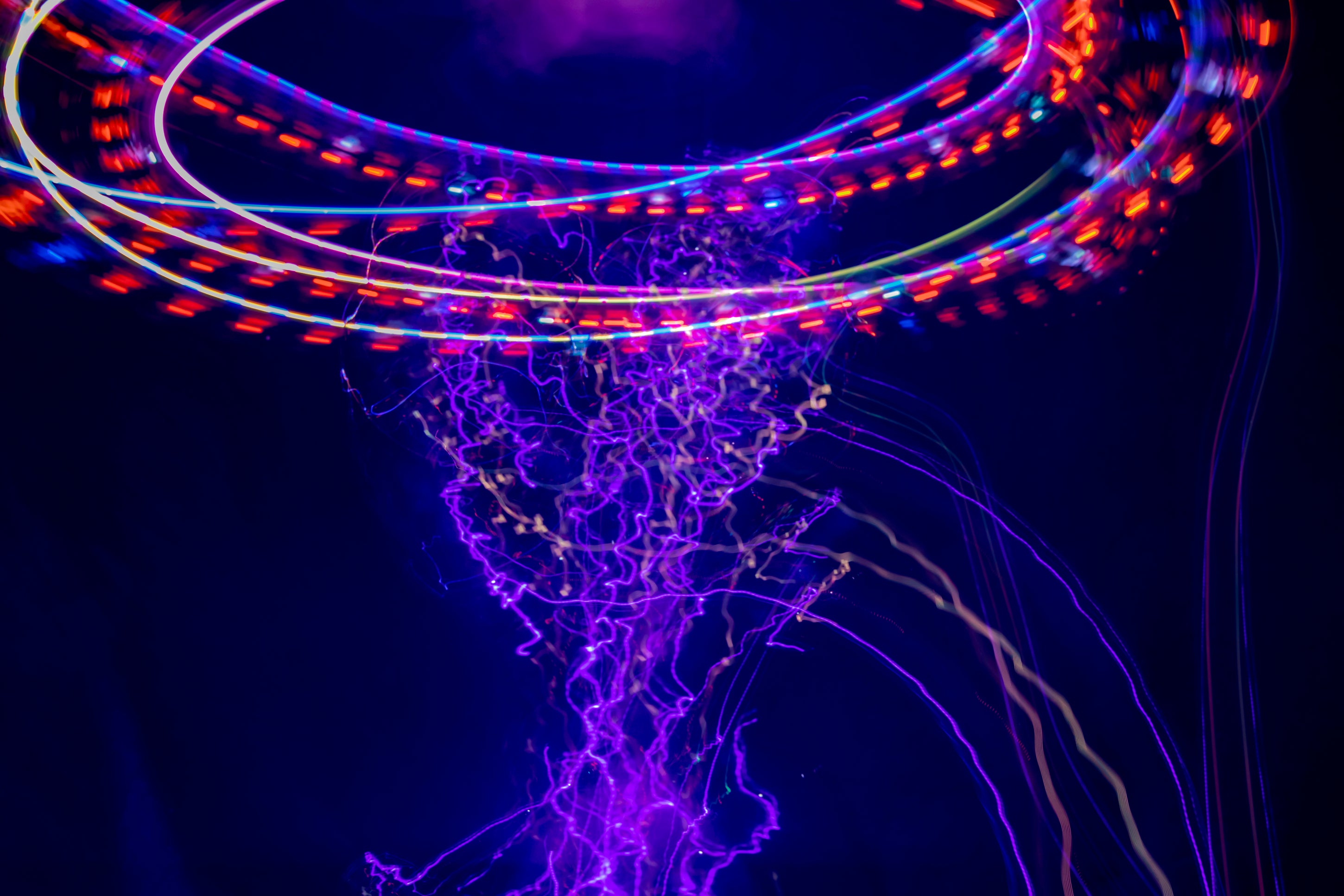 Mad Fly Essentials - Home Essentials & Decor - Apparel- More