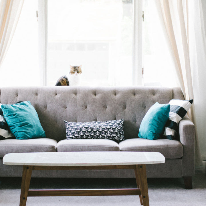 Mad Fly Essentials - Home Essentials & Decor - Apparel- More